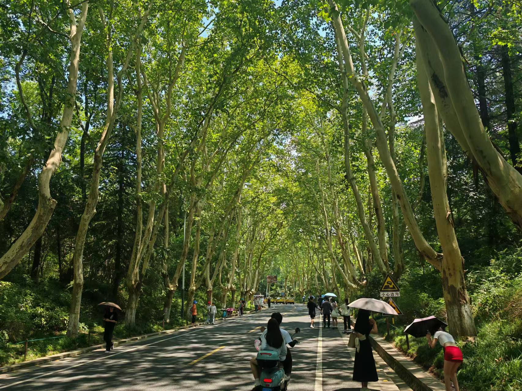 Xingyan Liu - Homepage