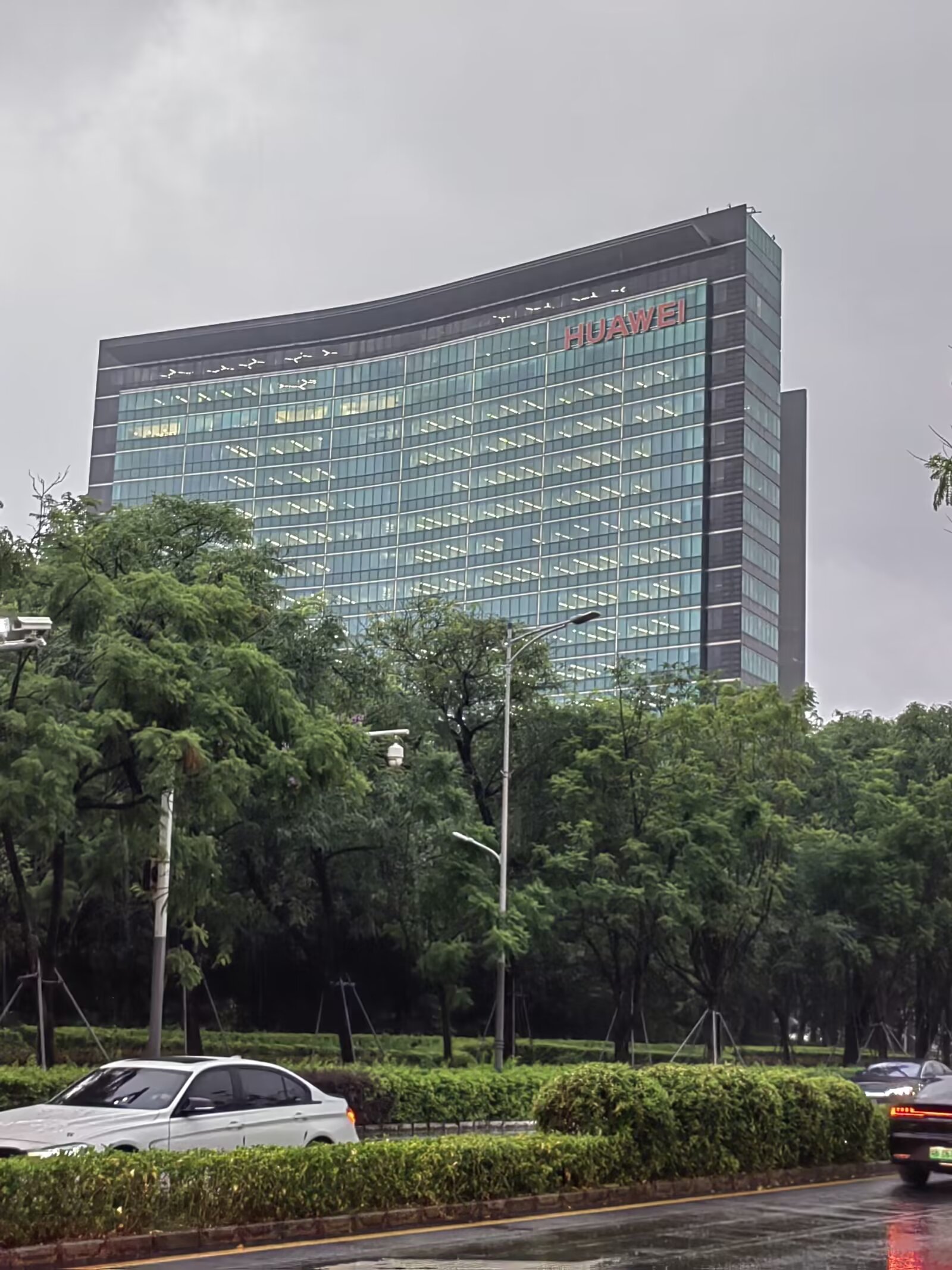 Xingyan Liu - Homepage